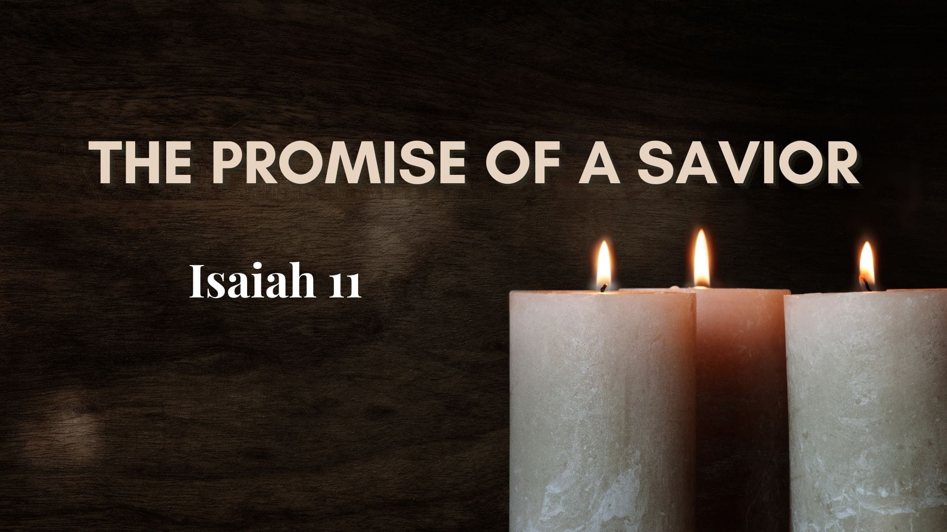 The Promise of a Savior - Community Baptist Church, Spring Hill, TN